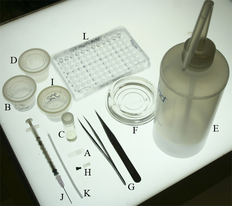 Figure 1. All the things that you will need to do a dissection.